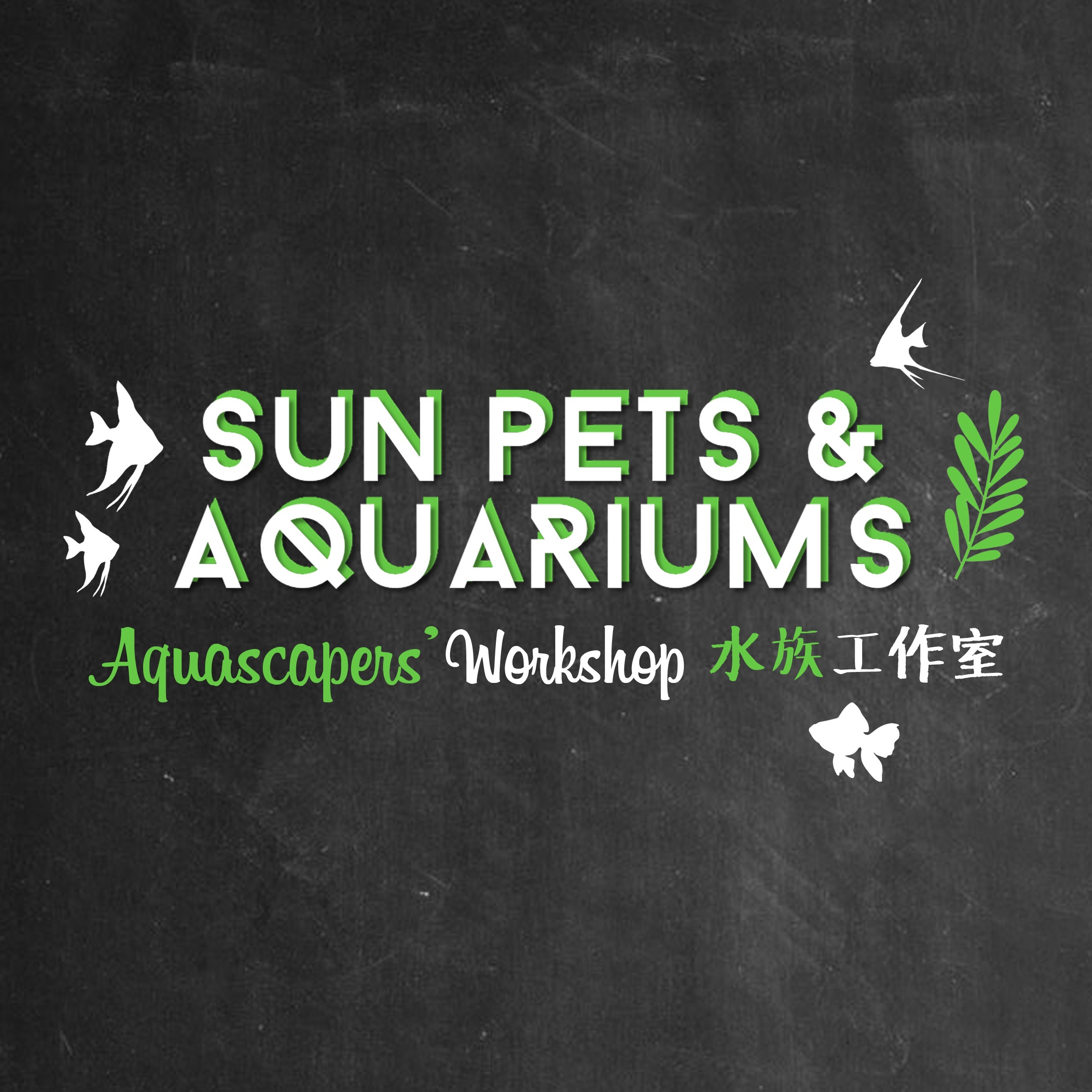 Sun Pets Official Store in Singapore, Online Shop 02 2025