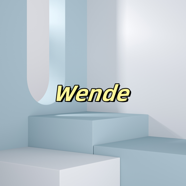 Wende Official Store in Singapore, Online Shop 01 2025