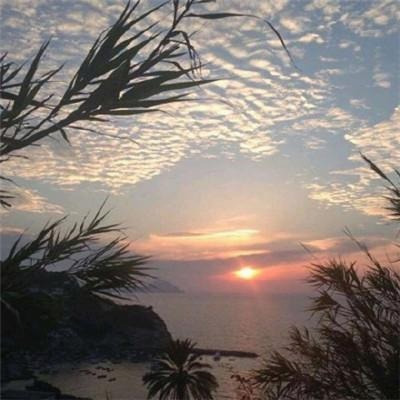 Wholesale department store Singapore Official Online Store | Shop Now ...