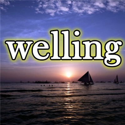 welling shop Singapore Official Online Store | Shop Now on Lazada
