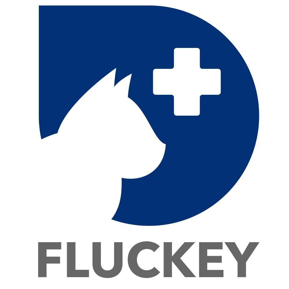 fluckey-pet Official Store in Singapore, Online Shop 05 2025