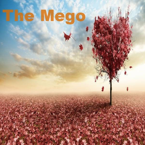 The Mego Official Store in Singapore, Online Shop 09 2024