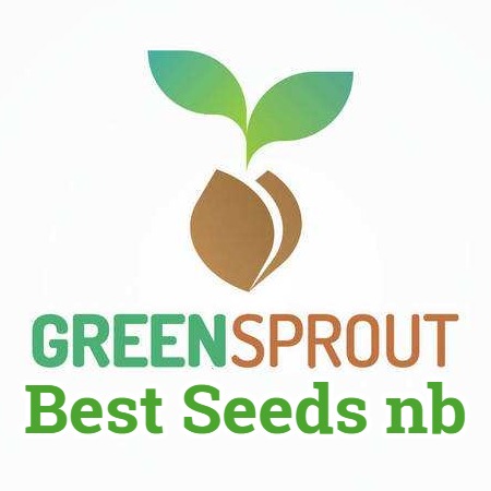 Best Seeds nb Singapore Official Online Store | Shop Now on Lazada