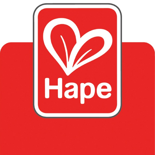 Hape Singapore Official Online Store Shop Now On Lazada