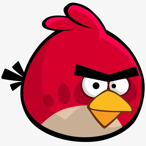 Loool Official Store in Singapore, Online Shop 05 2025