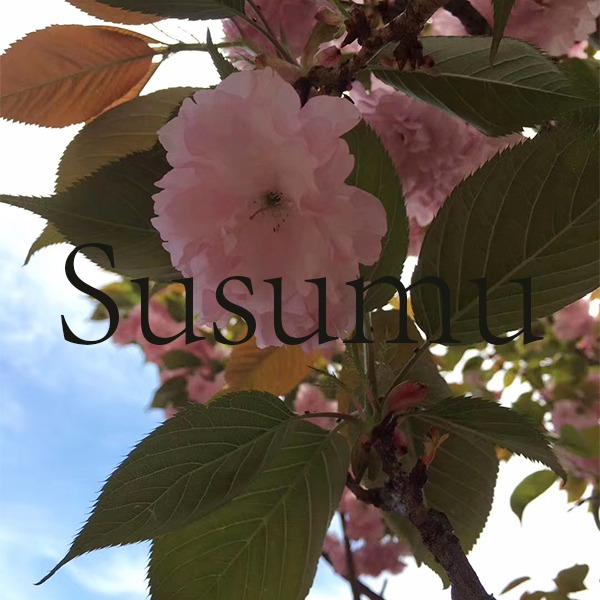 SuSumu Singapore Official Online Store | Shop Now on Lazada