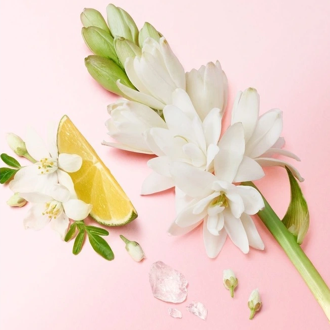 Confident Perfume Official Store in Singapore, Online Shop 11 2024